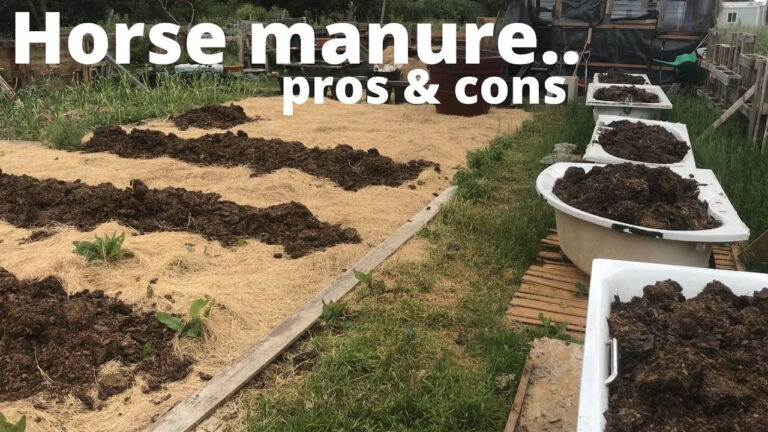 Is Horse Manure Good for Fertilizer: Composting Guide & Risks ...